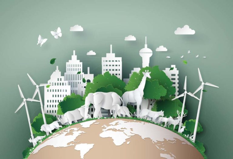 4 World Animal 4 World Animal